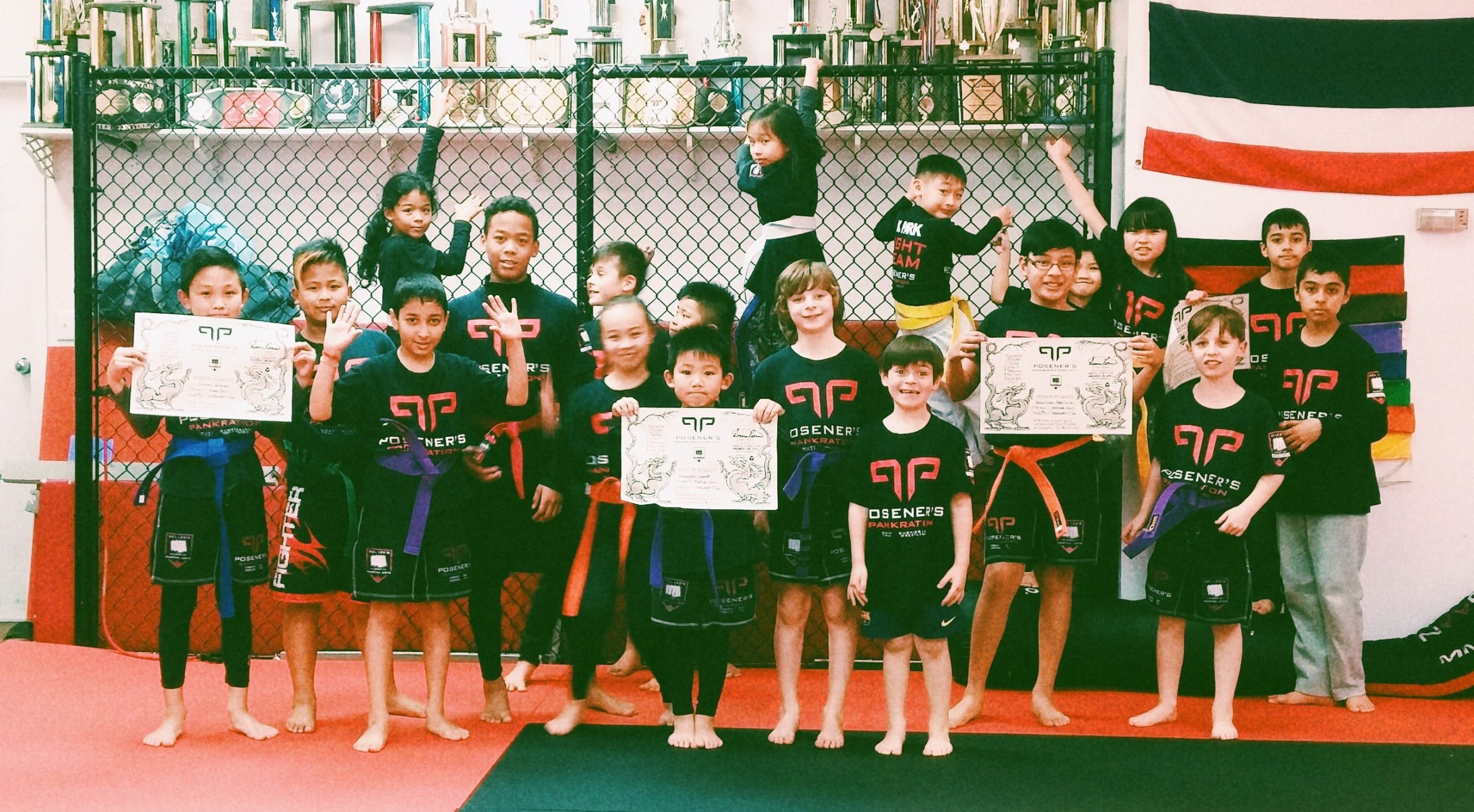 Posener's Pankration/MMA Belt Test Results for Kids Martial Arts